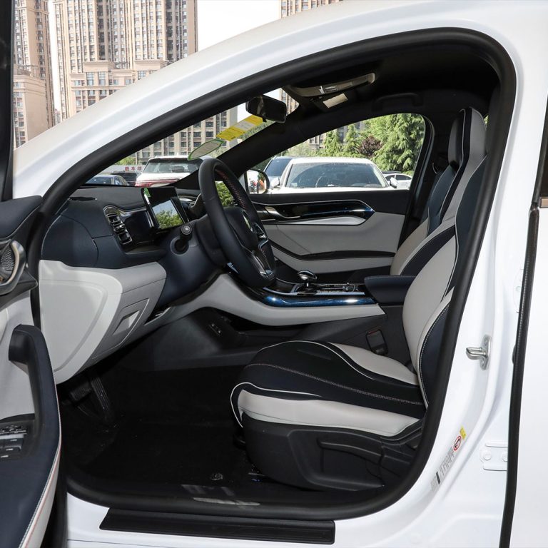 BYD Qin PLUS DMI - Borderless Car