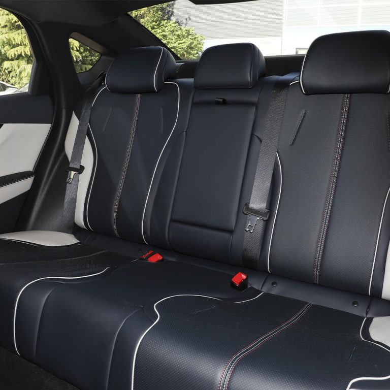 BYD Qin PLUS DMI - Borderless Car