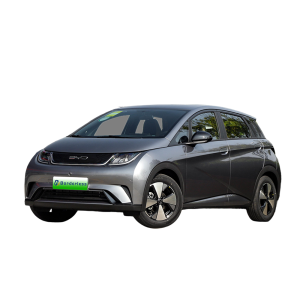 BYD Dolphin - Borderless Car
