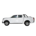 GWM Pao EV - Borderless Car