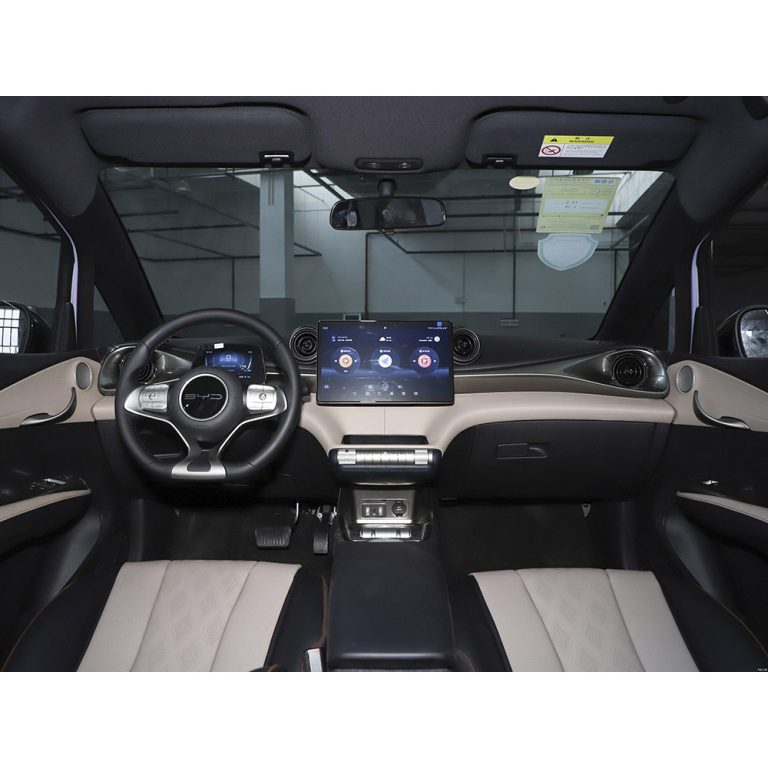 BYD Dolphin - Borderless Car