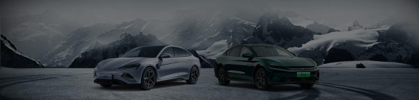 BYD - Borderless Car