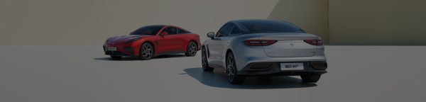 NETA - Borderless Car