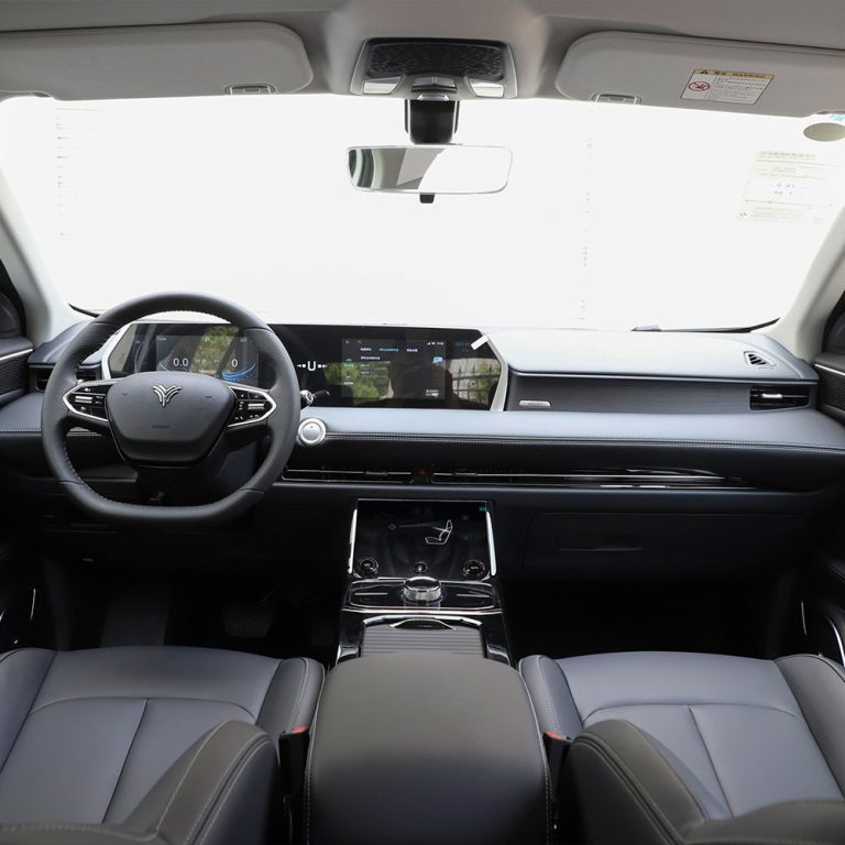 Neta U - Borderless Car