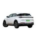 Neta U - Borderless Car