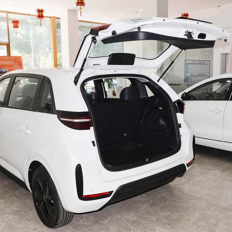 BYD D1 - Borderless Car