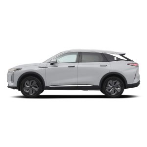 EXEED RX - Borderless Car