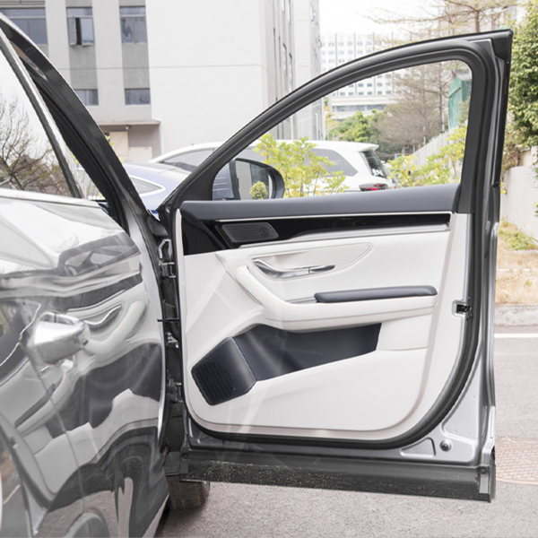 BYD Right Front Door - Borderless Car