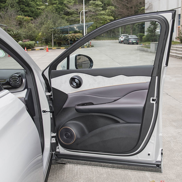 BYD Right Front Door - Borderless Car