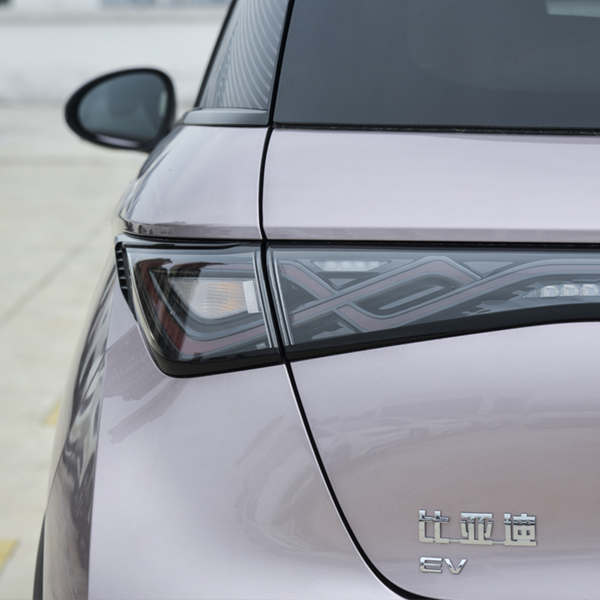 BYD Rear Tail Light - Borderless Car