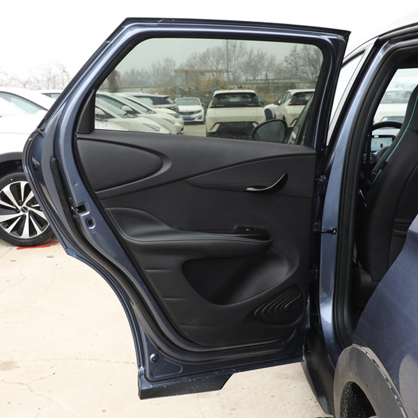 BYD Left Rear Door - Borderless Car
