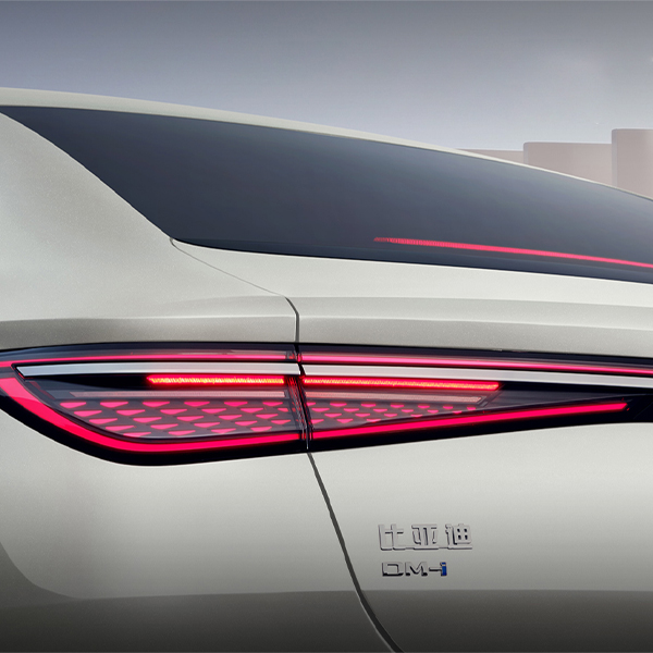 BYD Rear Tail Light - Borderless Car