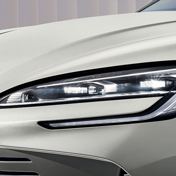 BYD Front Fog Lamp Light Trim Frame - Borderless Car