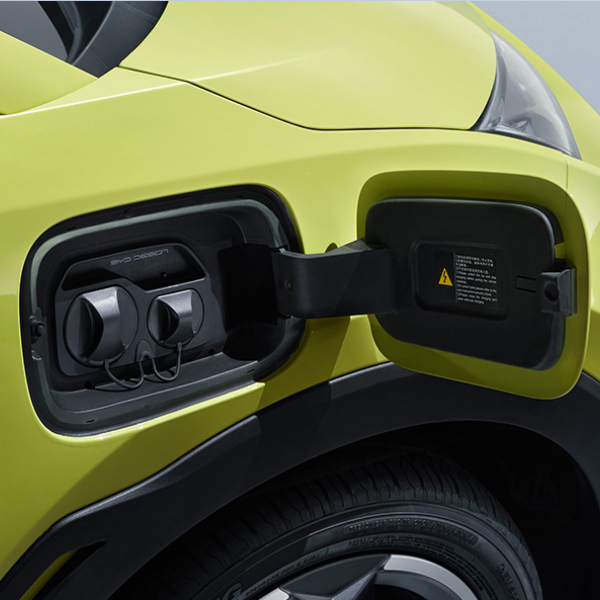 BYD Electric Car Charger Cover - Borderless Car