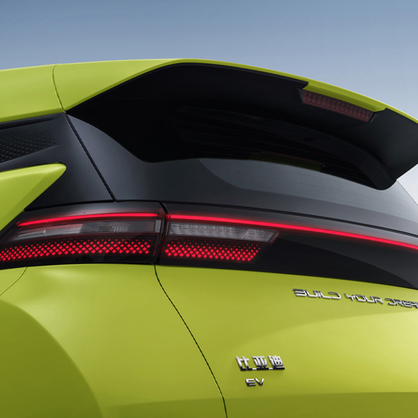 BYD Rear Tail Light - Borderless Car