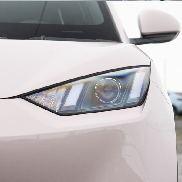 BYD Front Fog Lamp Light Trim Frame - Borderless Car