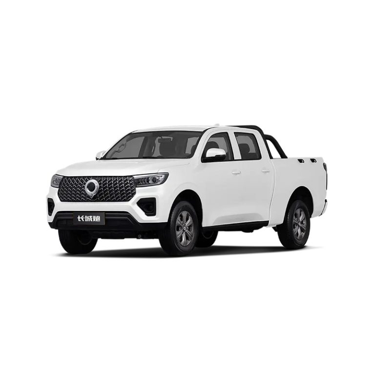 GWM Poer - Borderless Car